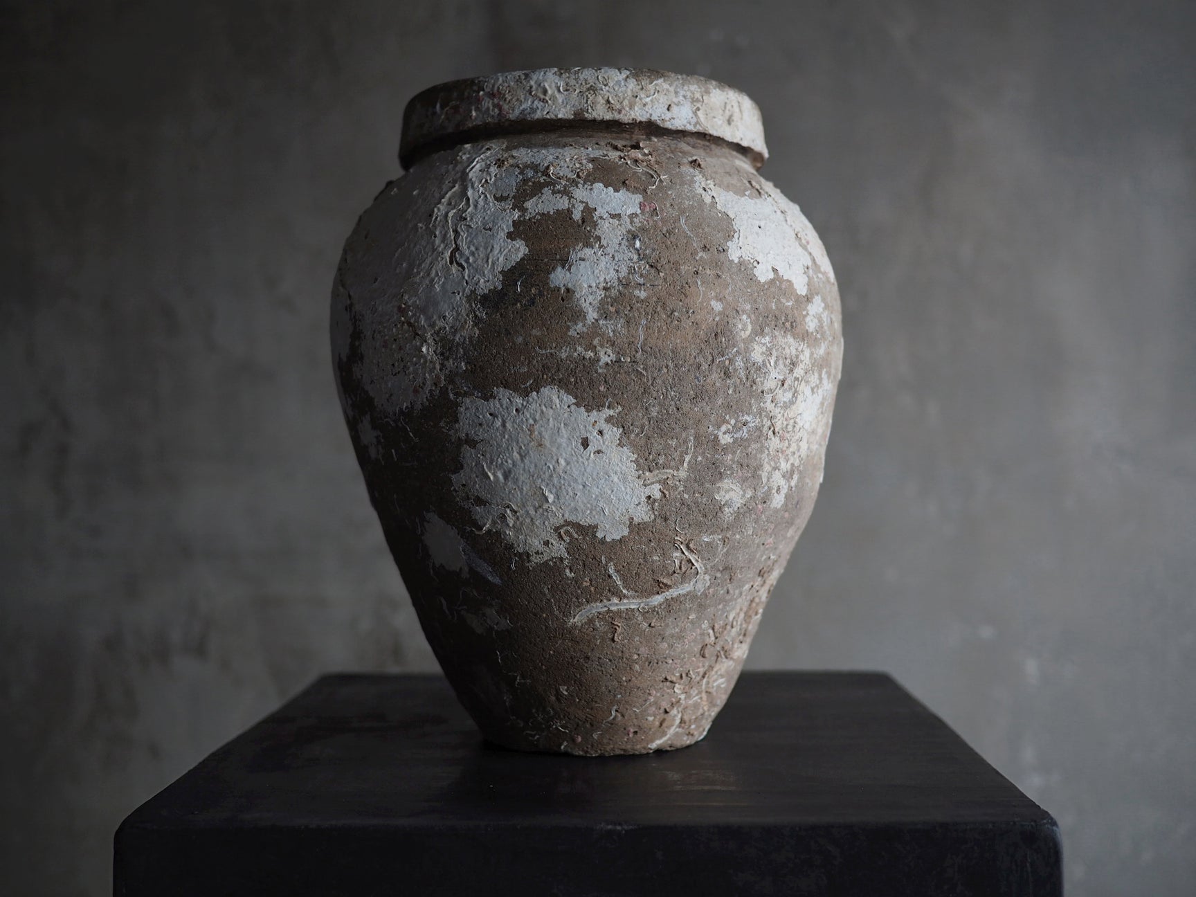 Porosity Wood Shutters ® – Brendan Tadler